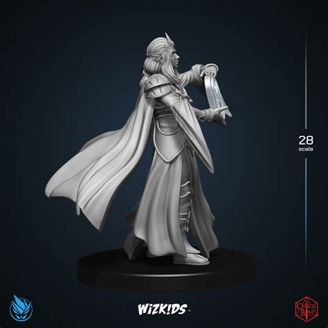Dunamancy Wizard Wildmesh
