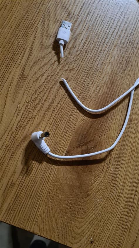 My Rabbit Bit My Cable Rwellthatsucks