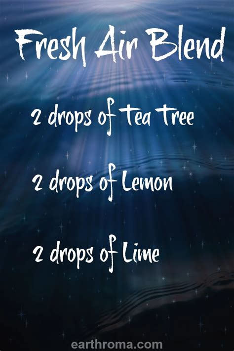 Pine Diffuser Blends Artofit