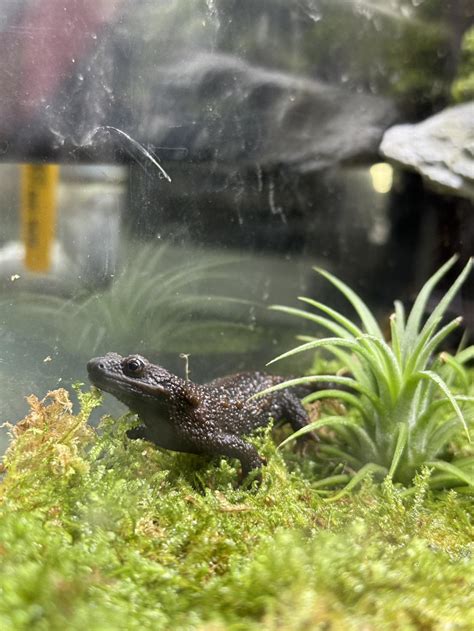 亞景水族 亞景水族 Added A New Photo