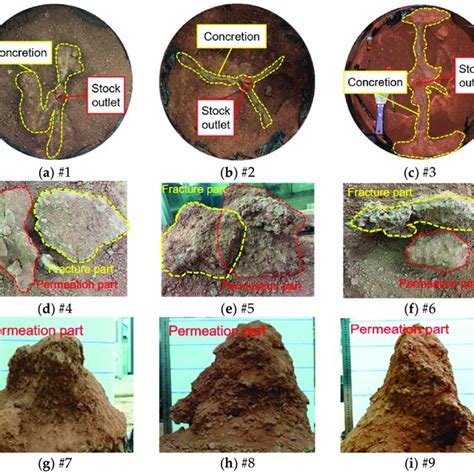 Concretion Shape Of Groups 1 9 Download Scientific Diagram