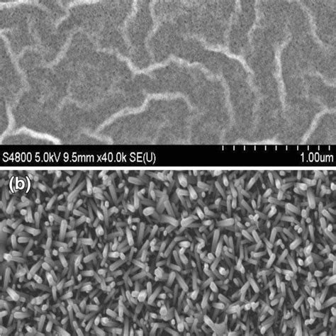 Sem Images A Zno Seed Layer B Zno Nanorods With Zno Seed Layer Download Scientific Diagram