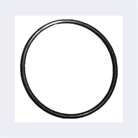 Pool Pro Cppcpps Chlorinator Salt Cell Housing Oring Pool Pro Cppcpps Chlorinator Salt Cell Housing Oring