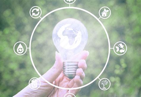 Tim Lazienda Aderisce Alla European Green Digital Coalition