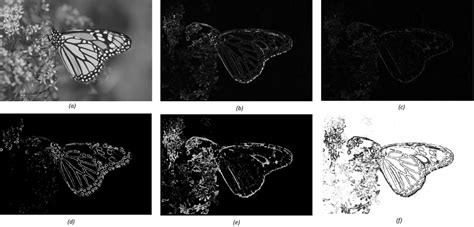 Image Decomposition Based Upon The Prediction Errors For The Monarch