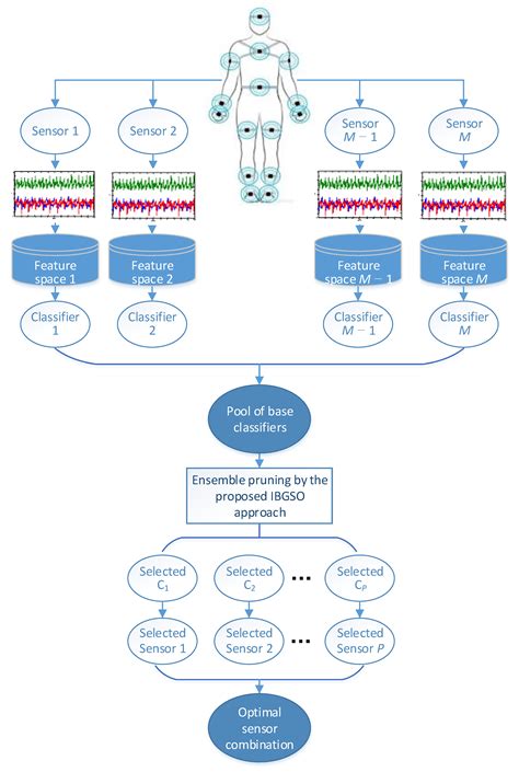 optimizing sensor deployment for multi sensor based har system with