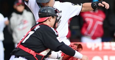 사진 강백호지나갈게요 조선비즈