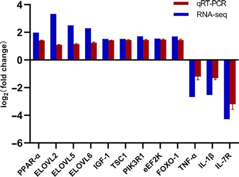 Validation Of Rna Sequencing Rna‐seq By Quantitative Pcr Qpcr