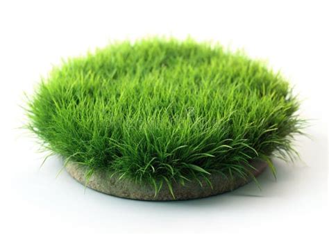 Stunning Realistic Cgi Tiltshift Miniature Detailed Round Grass Patch