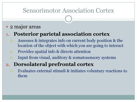 like the sensory systemsthe sensorimotor system is aromapic