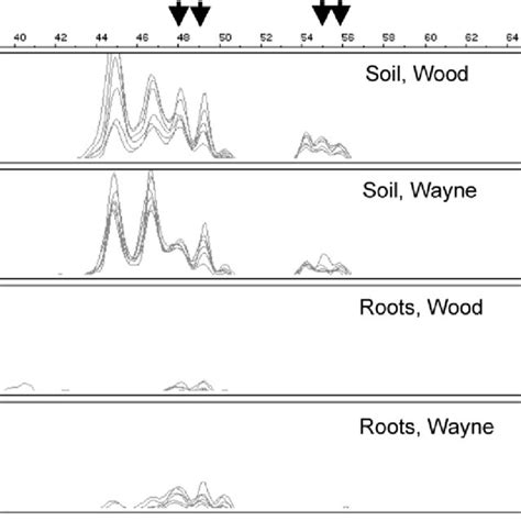 terminal restriction fragment trf length polymorphism profiles of
