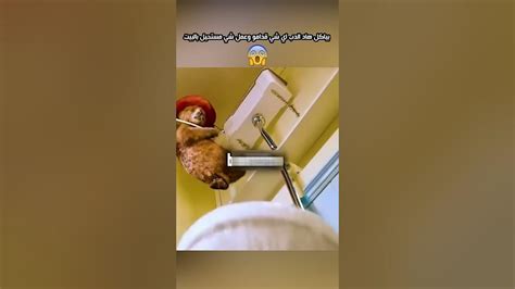 يأكل هذا الدب أي شيء يراه أمامه ⁉️ Youtube