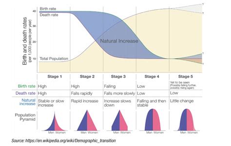 Gcse Geography Demographic Transition Model Development Gap 5