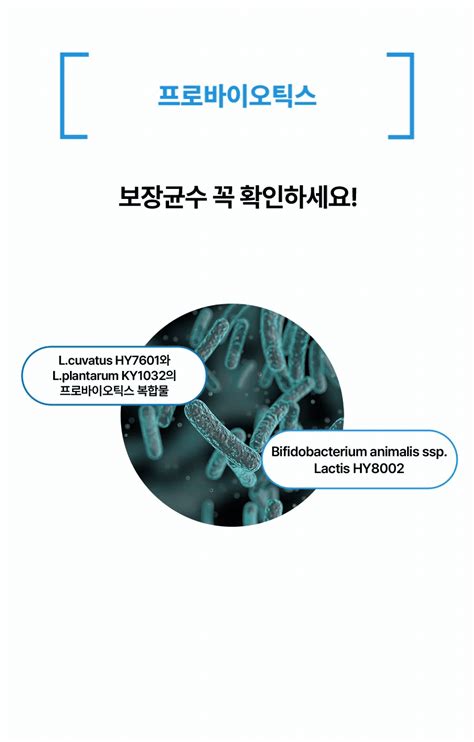 콜레올로지 컷 다이어트 유산균