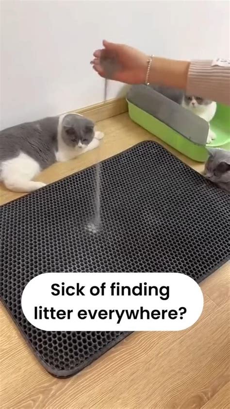 Ultimate Cat Litter Mat [video] Katzenstreu Matte Katzenstreu Katzenklo Ideen