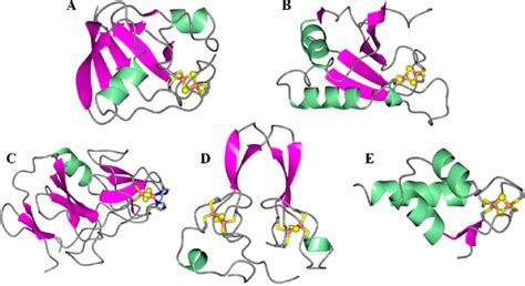 Crystal Structures Of A Spinach Ferredoxin Protein Data Bank Pdb