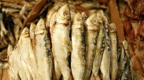 Dry Fish Supplier In Mumbai At Best Price In Mumbai Individual