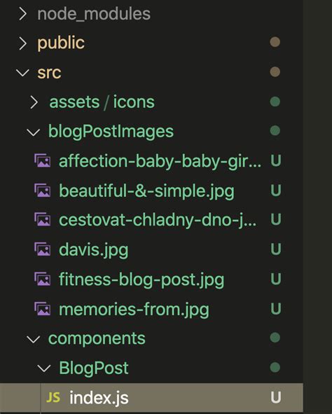 Javascript Error With My Img Src Using React Photo Is Not Displaying Stack Overflow