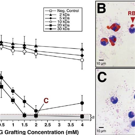 Management Based On ∆ Od 450 Liley Graph Zone Location Download Table