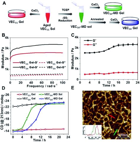 A Graphical Illustration Of The Preparation Of Static Hydrogels Vecss