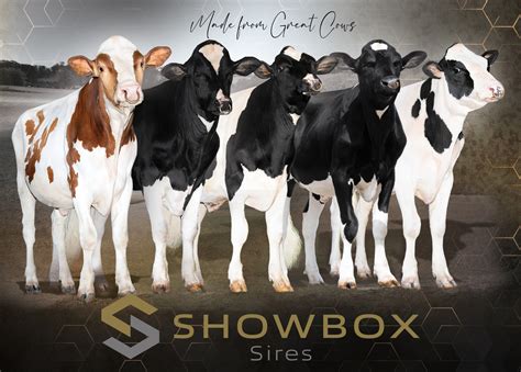 Select Siemers Atwood Alexia Ex 94 Gmd 7ho10506 G W Atwood Grand