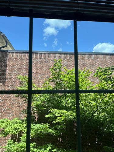 Andrew Markovic Flickr