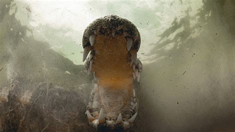 Kaprosuchus Saharicus Fossil