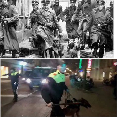 Celik Serpil Celikserpil Twitter