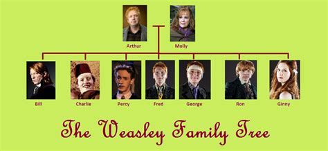 Weasley Harry Potter Ginny Weasley Hogwarts