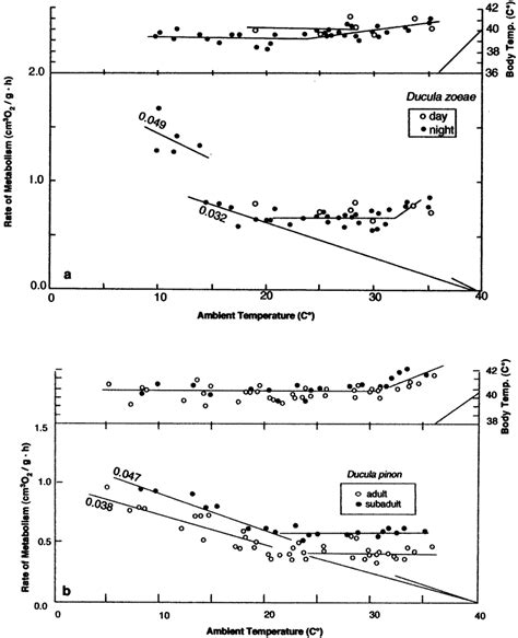 Rate Of Oxygen Consumption And Body Temperature As A Function Of Download Scientific Diagram