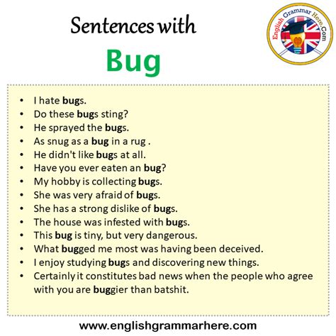 Sentences With Bug Bug In A Sentence In English Sentences For Bug