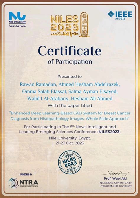 Rawan Gomaa On Linkedin Research Ieee Niles2023