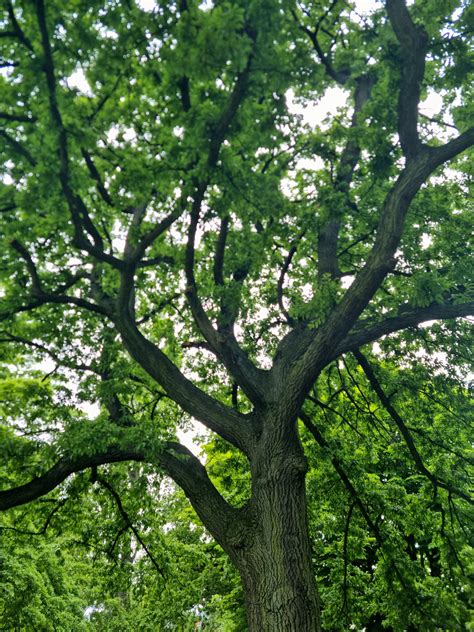 Christopher Z Dlamini Hehim Chrisdlamini Twitter