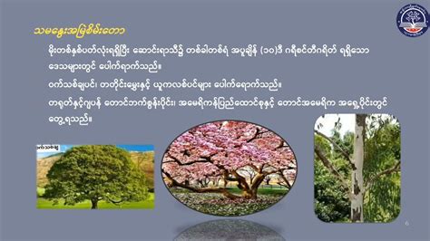 Grade7 ပထဝီဝင် အခန်း ၃ ၊အပိုင်း ၂ သဘာဝပေါက်ပင်နှင့်သစ်တောများ၊ သစ်တောပြုန်းတီးခြင်းနှင့် စာ