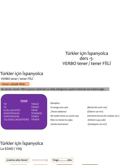 Ders 5 Tener Fiili Sayılar Yaş Doğum Günü Gün Ay Mevsimler Pdf