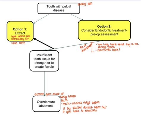 Restoration Options For The Root Filled Tooth Flashcards Quizlet