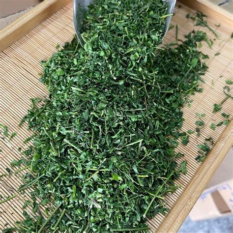 台灣出貨 低價好物【【雙12特賣】特賣】 潮汕特産油甘茶純天然無添加油甘茶清熱綠茶可食用泡茶油柑茶葉 蝦皮購物