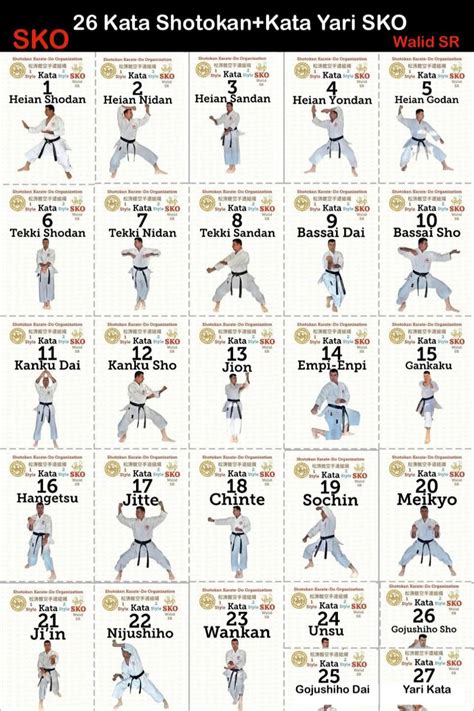 Shotokan Karate Do Organization South Africa