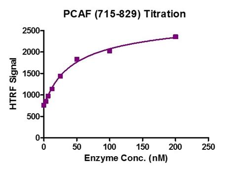 Recombinant Kat2b Pcaf 715 829 Protein Proteintech