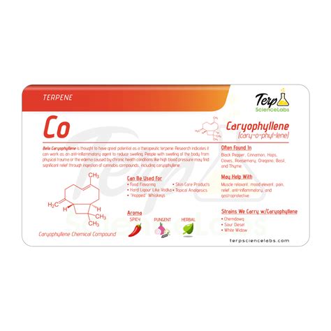 Primary Terpene Magnet Caryophyllene Terp Science Labs