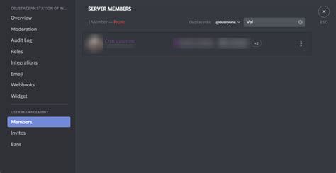 My Discord Has A Bot That Doesnt Show Up At All Rdiscordapp