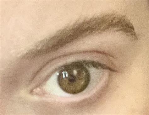 Help Do I Have Hooded Eyes Or Not Im Confused 😐 R Makeupaddiction