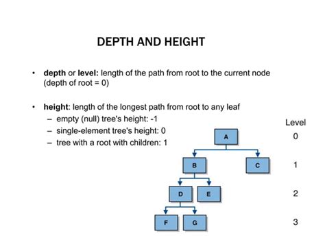 BINARY TREE REPRESENTATION Ppt BINARY TREE REPRESENTATION Ppt