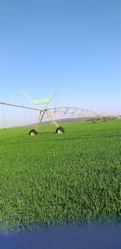 Lloyd Willima On Linkedin Silverlands Agriculture Services Mkushi Zambia 🌾🌾🌾🇿🇲