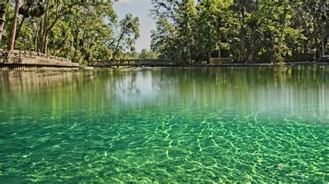 The Best Snorkeling Spots In Orlando Florida Calicase