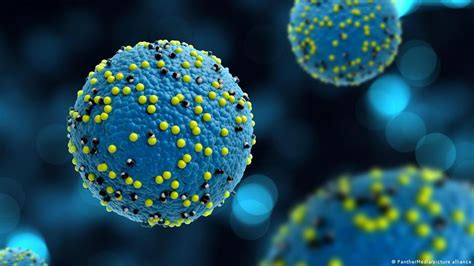 Captan Por Primera Vez Video De Virus Infectando Una Célula Dw 13