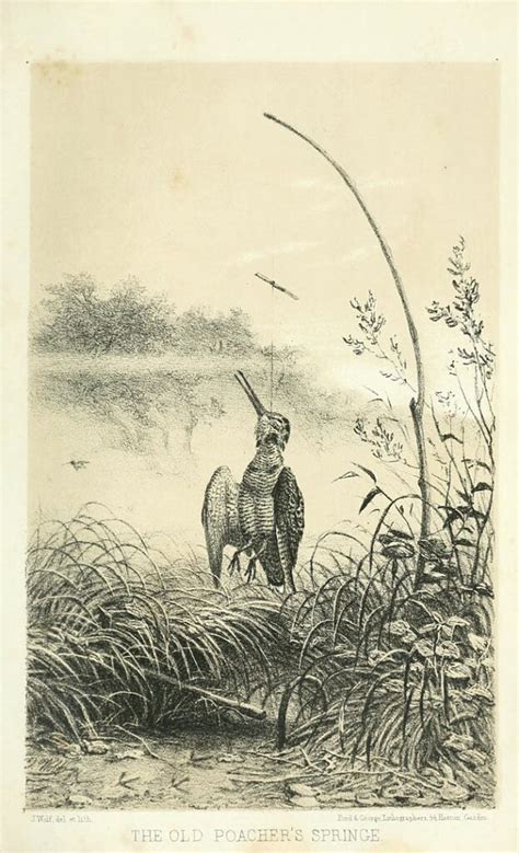 Snare Vs Trap Whats The Difference Main Difference