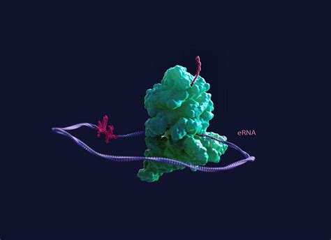 Zelanna Goldberg Md Mas On Linkedin Rna Therapies Diversify And