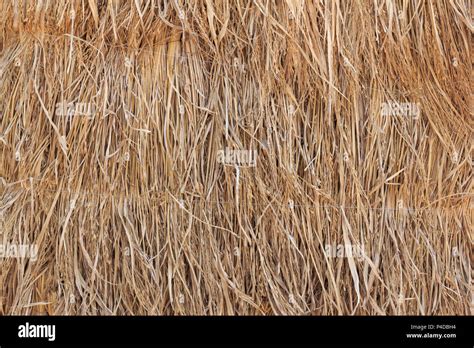 Straw Texture Fotos Und Bildmaterial In Hoher Auflösung Alamy