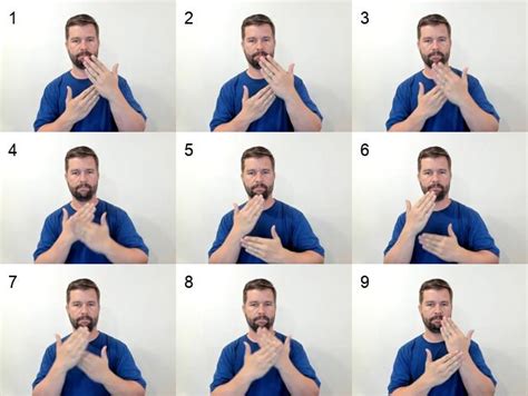 Hands Asl Dictionary